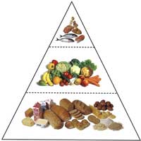 Matpyramiden. - Langrenn.com