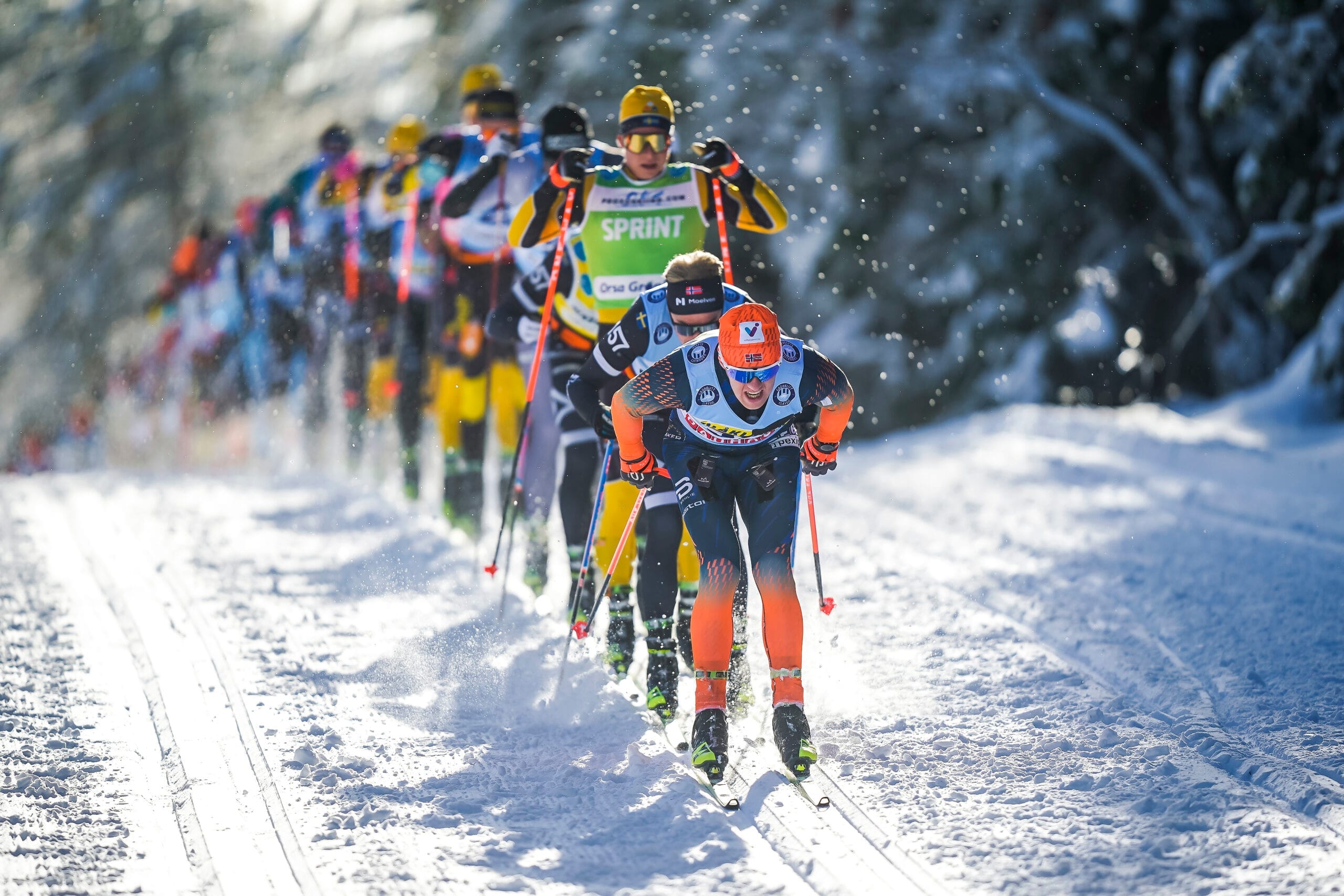 Speed and Interval Training for skiers - ProXCskiing