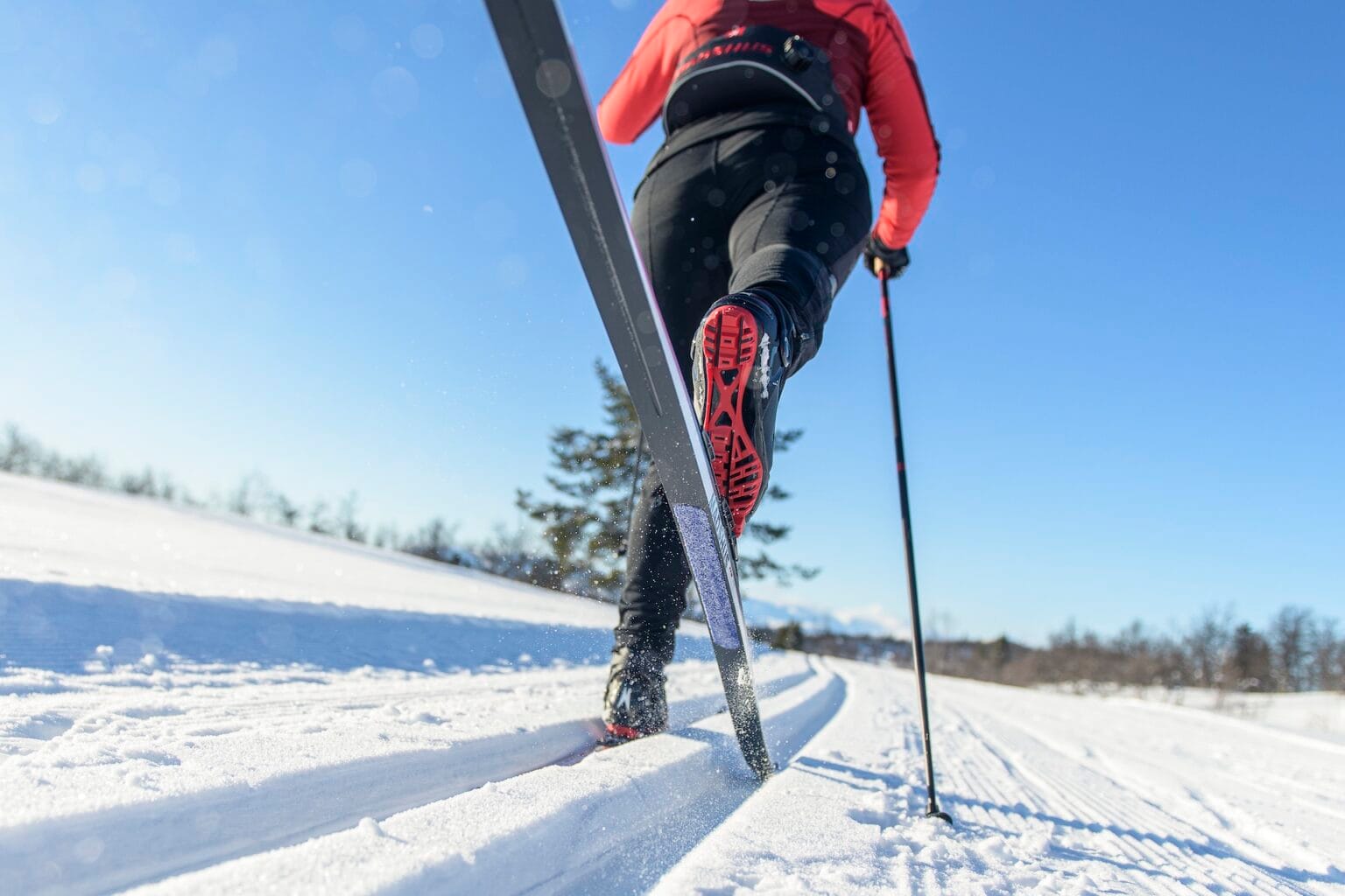 Skin skis: Three essential tips you need to know - ProXCskiing