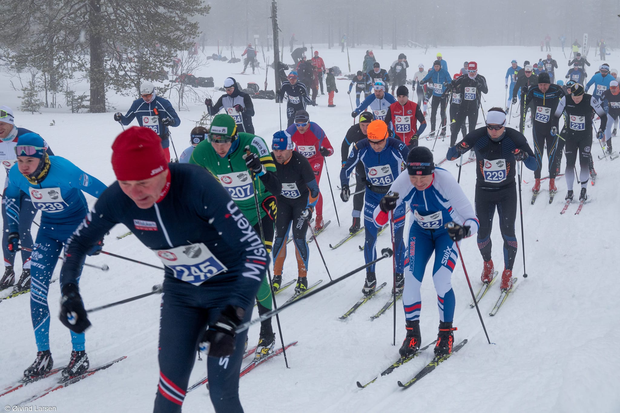Trysil-Knut Rennet 2025 this Saturday in Norway - ProXCskiing