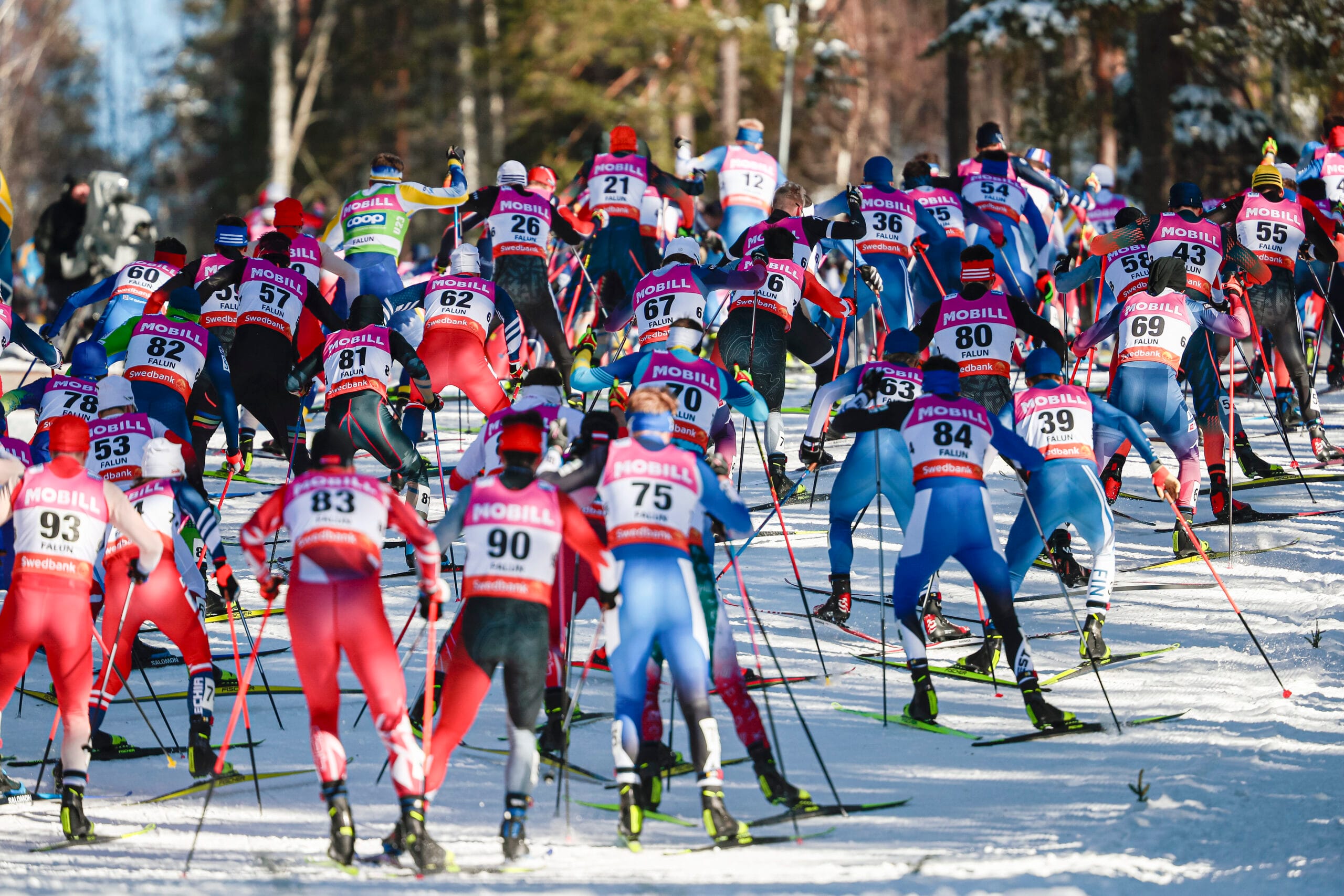 More endurance with a high-fat diet? - ProXCskiing