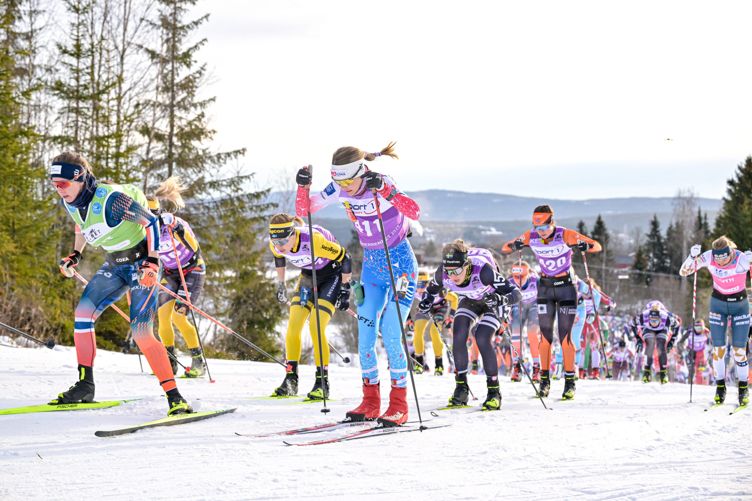 Hedda Bångman joins Team Burger King Northug - ProXCskiing